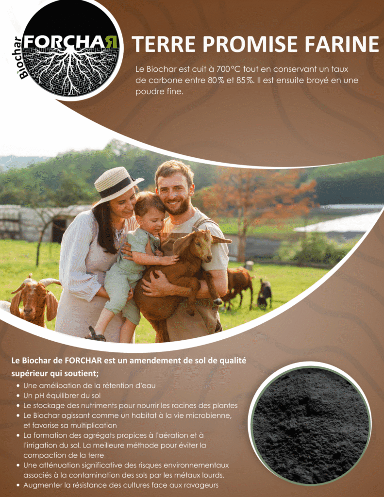 Terre Promise Farine – FORCHAR